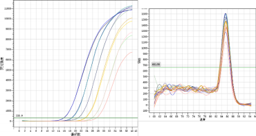 HyScript IV RT All-in-One SuperMix for qPCR (+dsDNase)